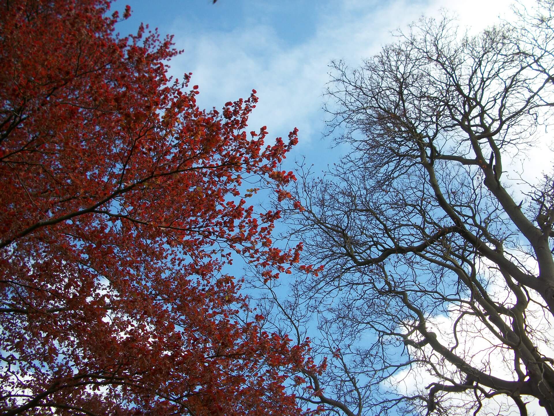 O que fazer em Cambridge na Inglaterra? Roteiro de 1 dia