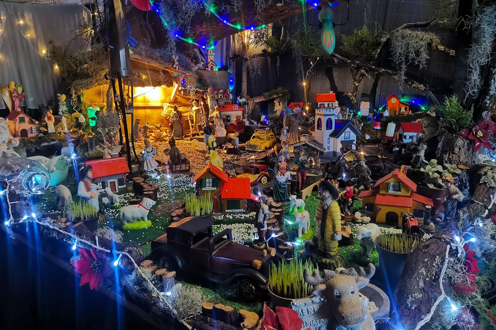 Ilha da Madeira: Principais curiosidades - La Vida es Mara