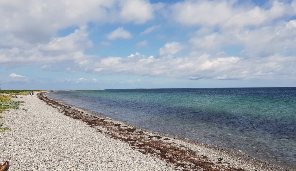 Samsø: porque deves visitar a ilha mais sustentável da Dinamarca